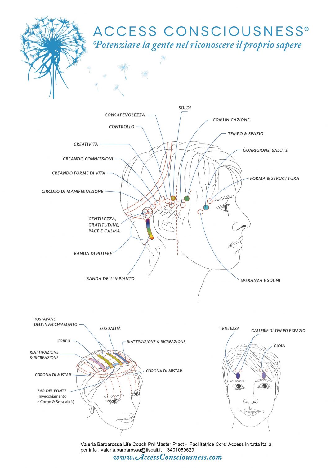 TRATTAMENTI ACCESS BARS - Maestr'ale